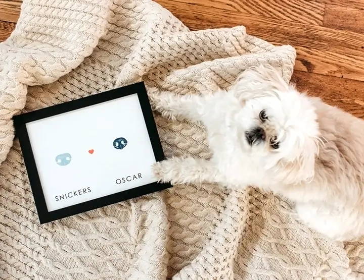 Custom Pet Nose Print Memorial Art | How to Get Dog Nose Print Easy Way – Flutterbye Prints